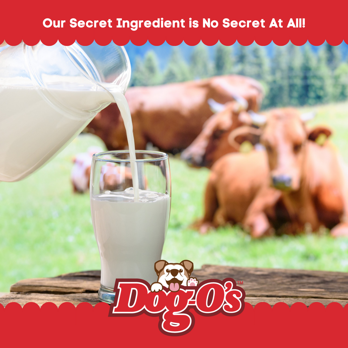 Dog-O’s Cheesy Chompers® | All Natural Cheese Treats for Dogs