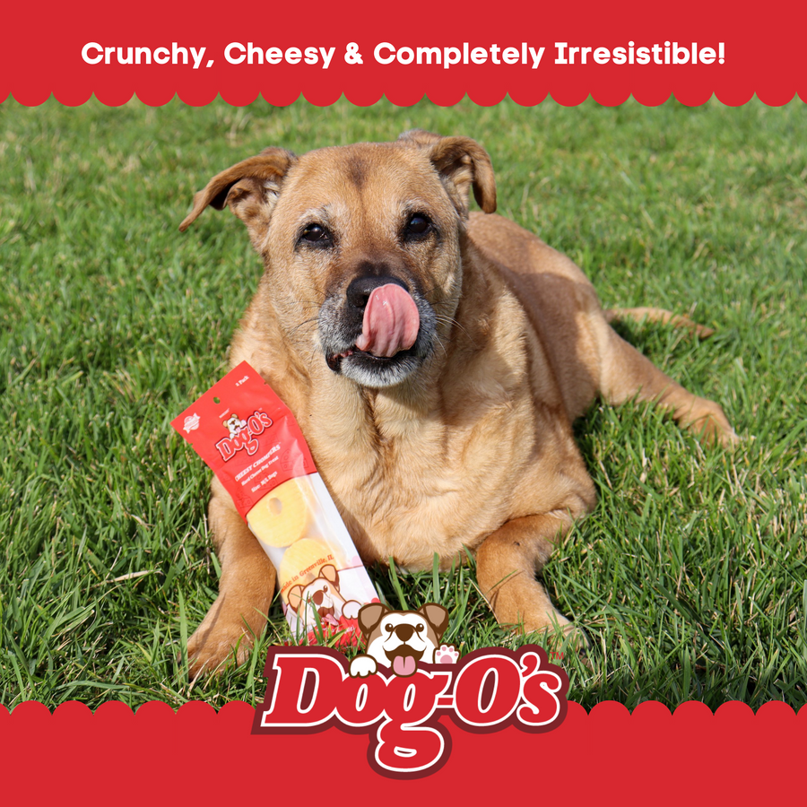 Dog-O’s Cheesy Chompers® | All Natural Cheese Treats for Dogs